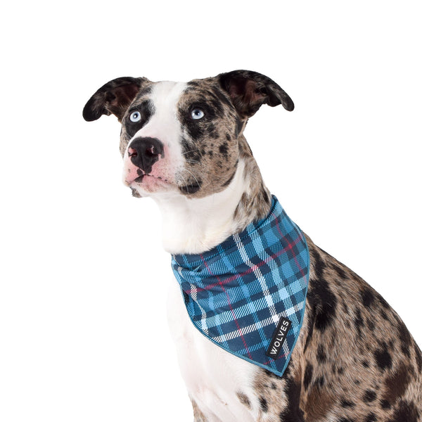 Wolves of Wellington | Lochie Dog Bandana