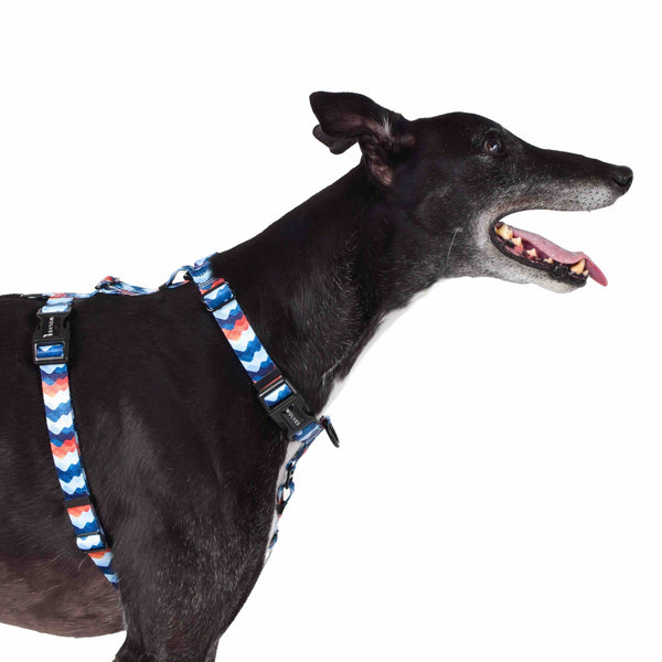 Wolves of Wellington | Maverick All Purpose Dog Harness