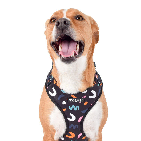 Wolves of Wellington | Bel Air Mesh Dog Harness